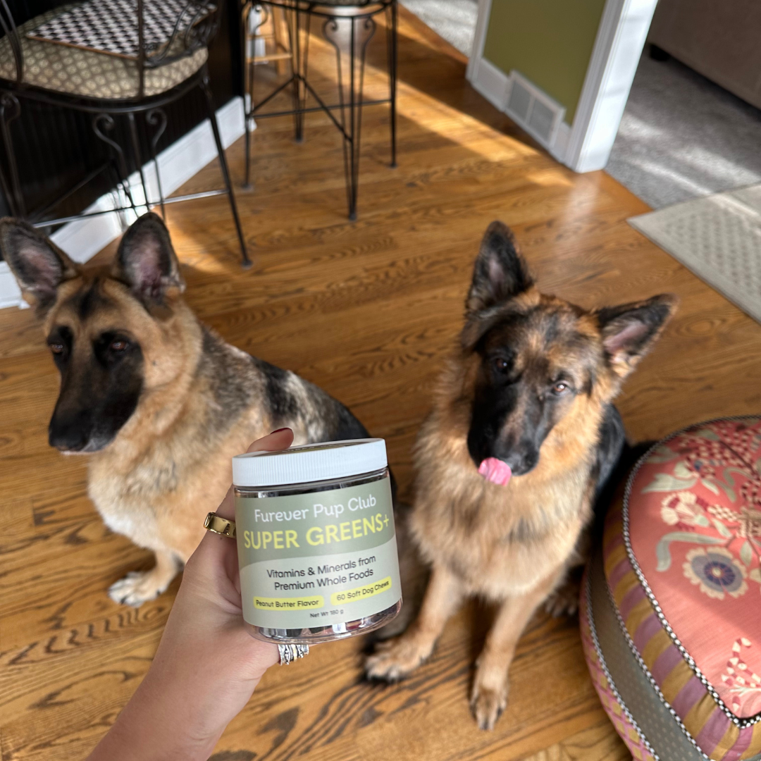 Introducing the Picky Pup Pledge: Our Commitment to Your Dog’s Happine ...